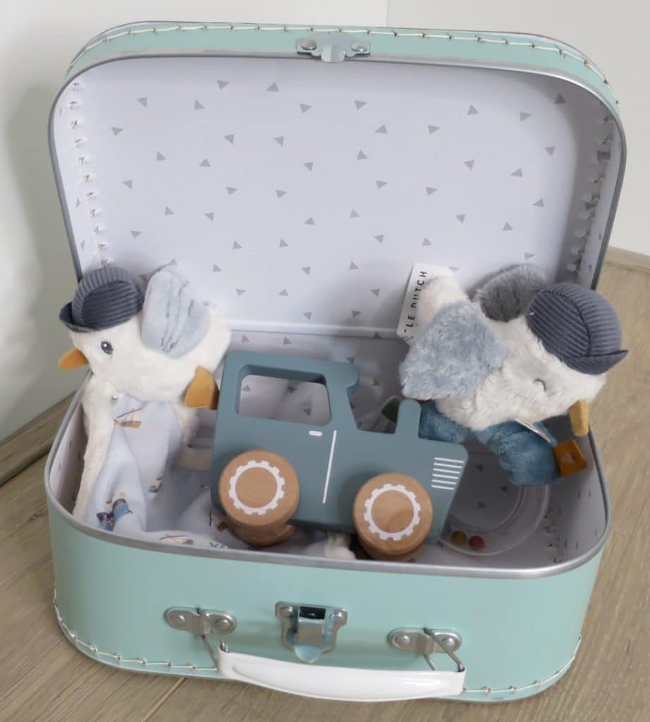 Cadeau koffertje Vogeltjes Blauw – Winkel van Pinkel